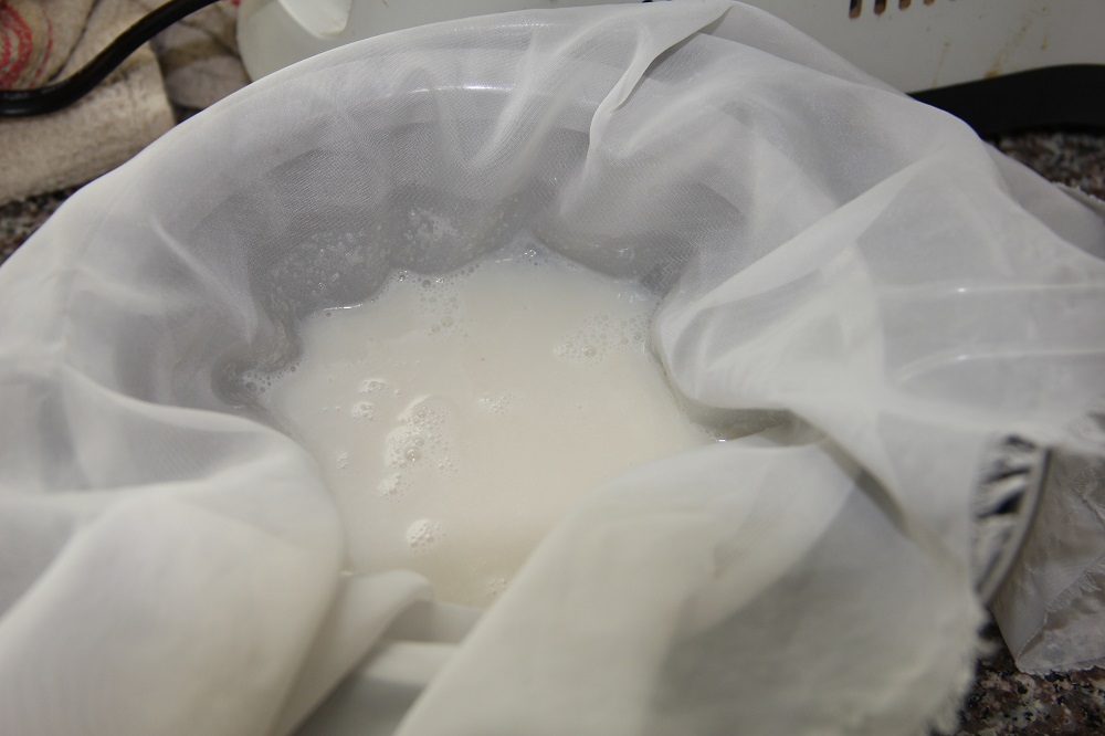 DIY: Traditional Rennet | Gianaclis Caldwell