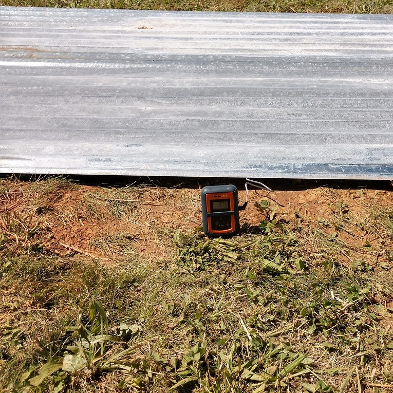 Luau Style Pit Goat Roast | Gianaclis Caldwell